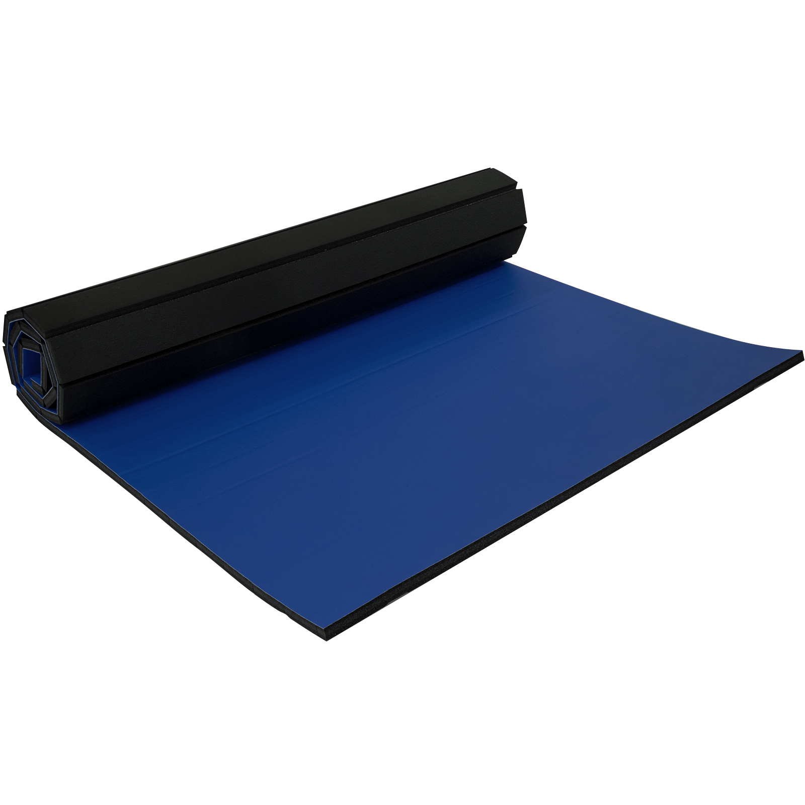 Vevor Sportmatte Fitnessmatte 1,5x3m Rutschfest Kampfsport Wrestling ...