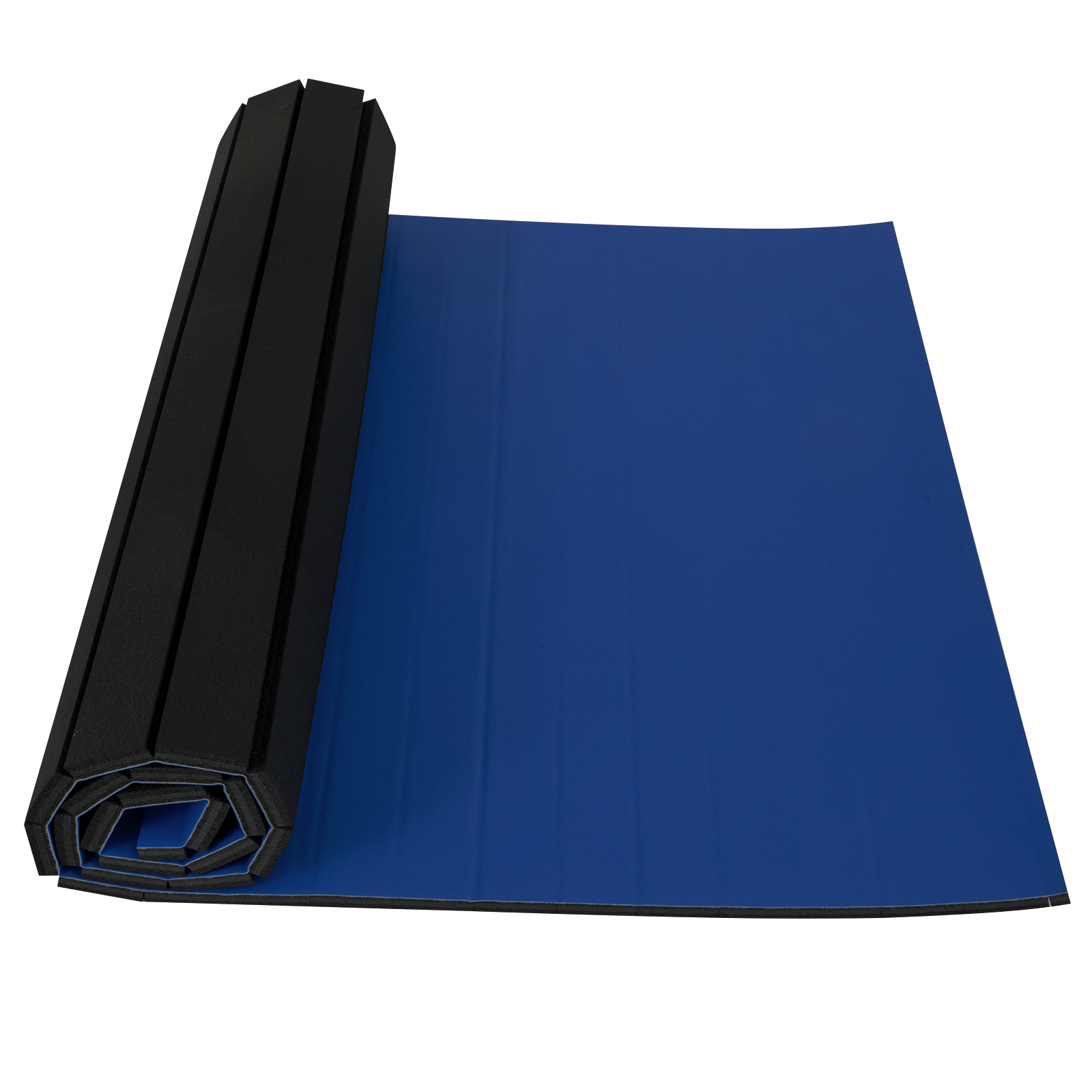 Vevor Sportmatte Fitnessmatte 1,5x3m Rutschfest Kampfsport Wrestling ...