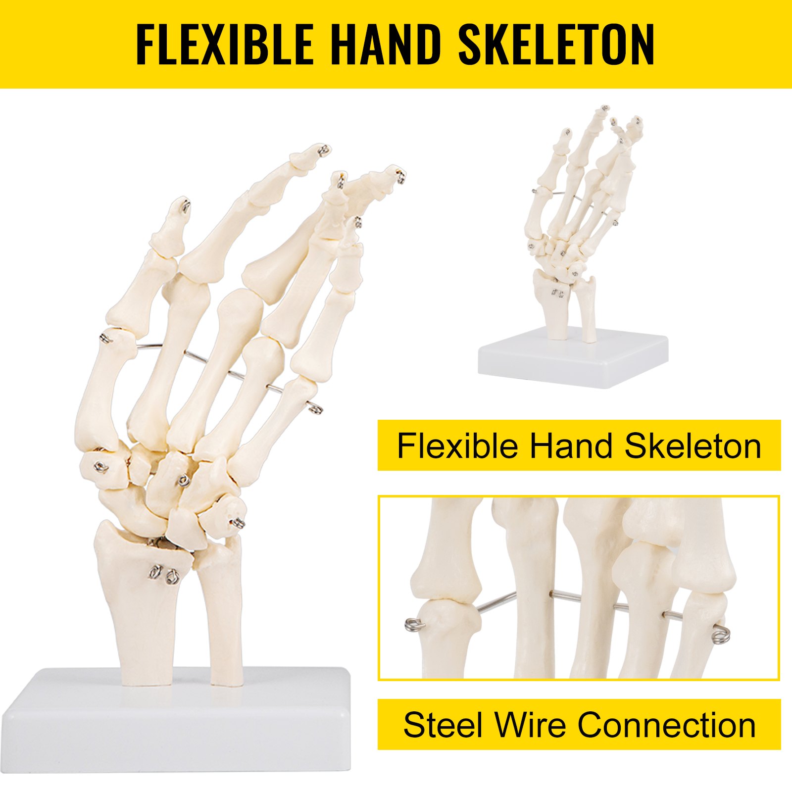 VEVOR Anatomical Hand Model Ligaments 7-Part Model Hand for Anatomy ...