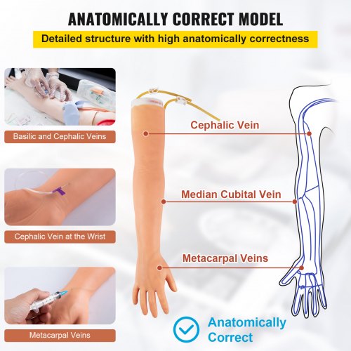 VEVOR IV Practice Kit Phlebotomy Venipuncture Practice Arm for Students ...