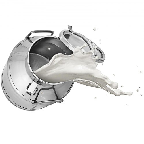 13.25 Gallon Stainless Steel Milk Can W/handle One Piece 50l Milk ...